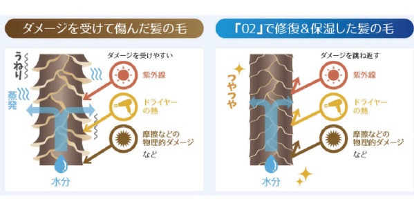 iLiR02 2000ml しらやまや